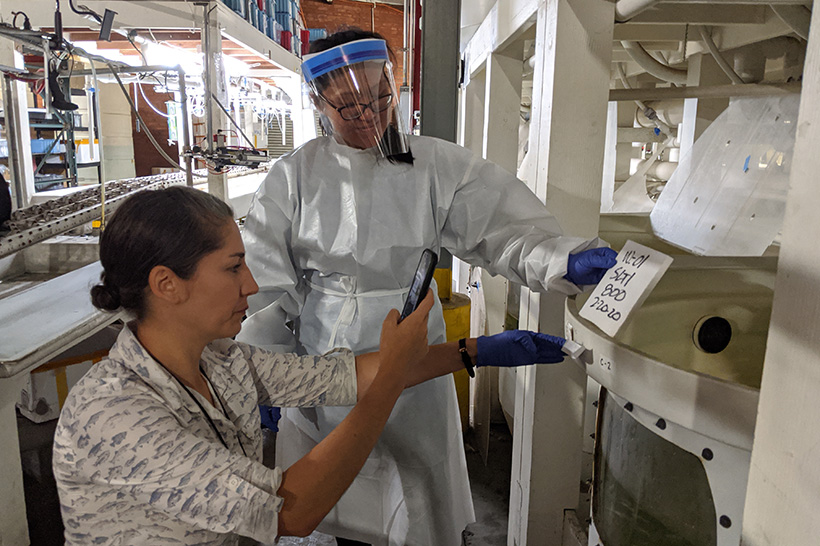 EIS officer makes a difference here and abroad - Kaiser Permanente ...